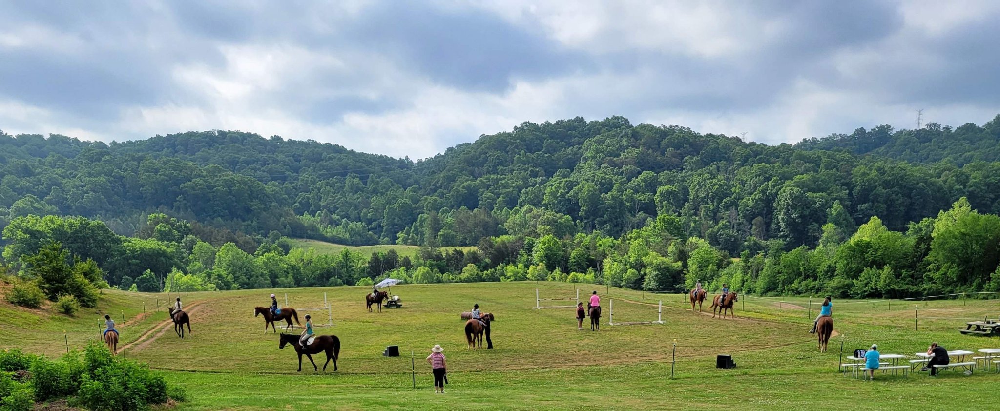 Horse Boarding Stables & Training Facility in Knoxville, TN | Blue ...