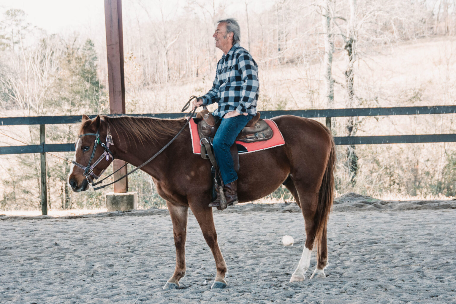 Group Horseback Riding Lessons in Knoxville | Blue Point Stables