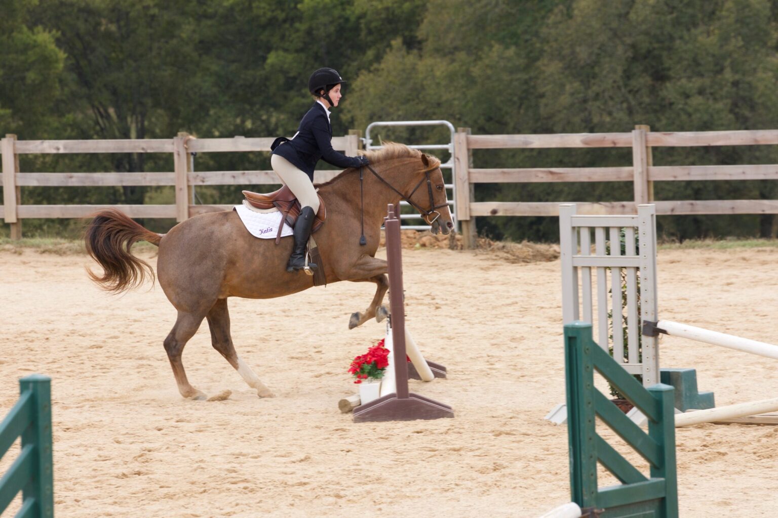 Group Horseback Riding Lessons in Knoxville | Blue Point Stables